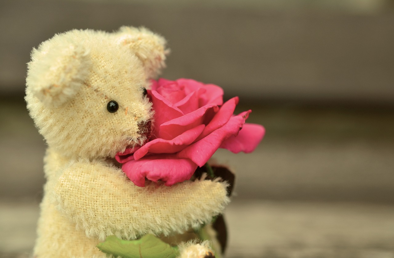 La petite histoire de l’ours en peluche - Histoire et Historiettes